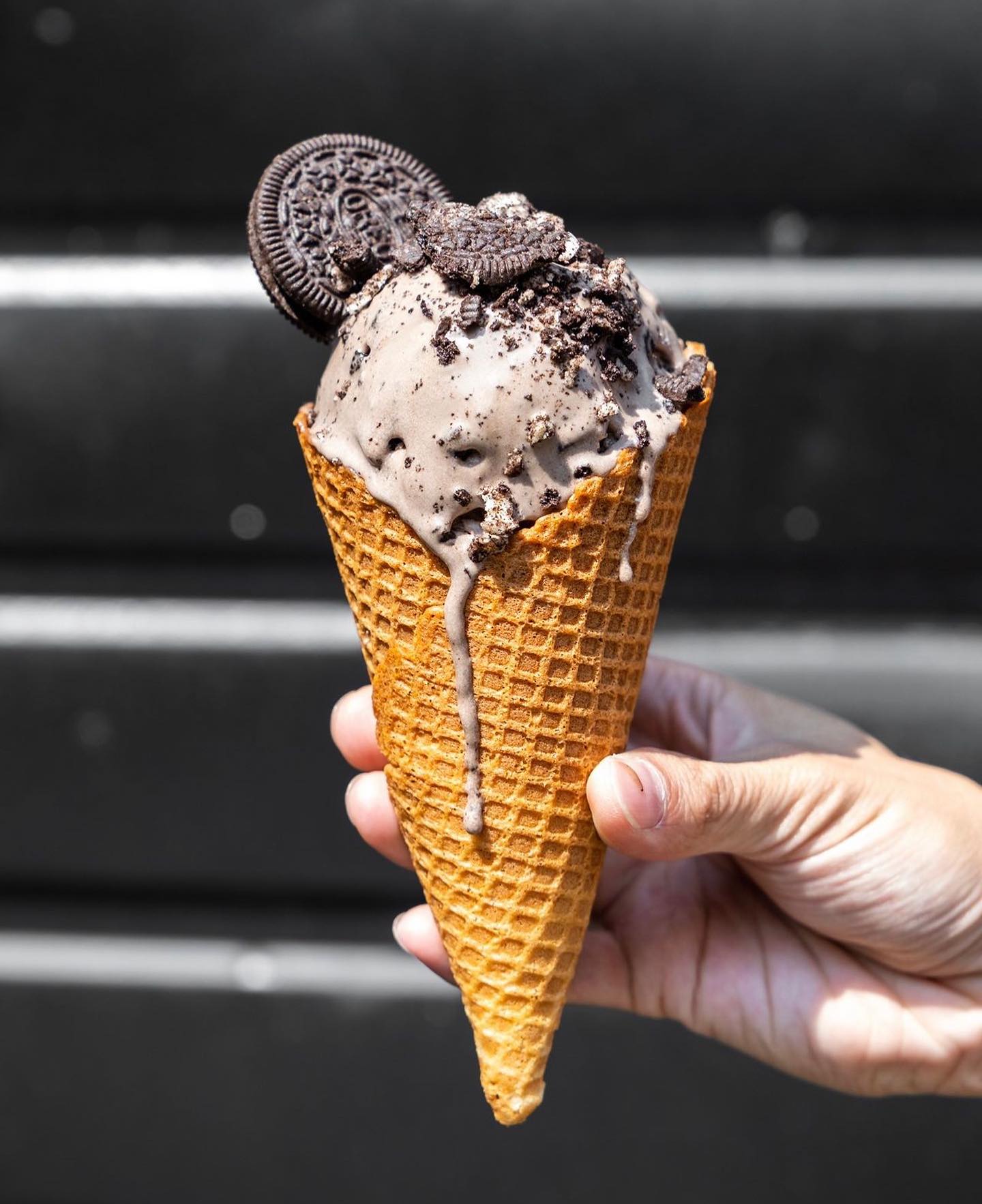 5 Best Ice Cream In Vancouver: Top Places To Grab A Scoop - Parent Intel